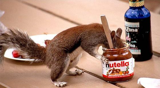 Ferrero and Thornton’s : the bitter sweet taste of M&A – Paul J ...